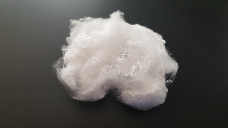 FIBER - Golden Shine Company